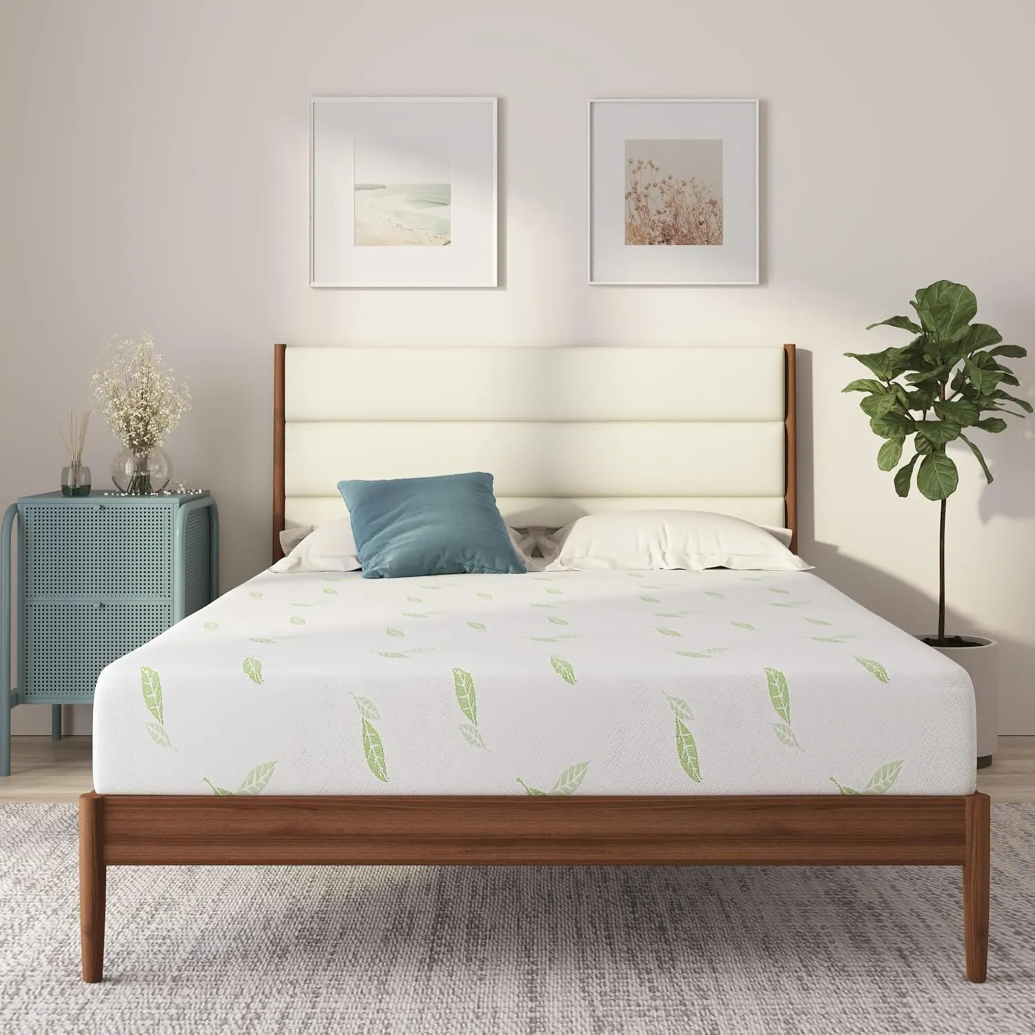 NapQueen Green Tea Memory Foam Mattress Review: Sleep Better for Less